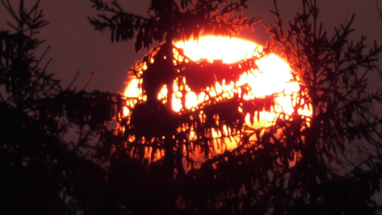 Science and Fiction - Basics of Light Scattering